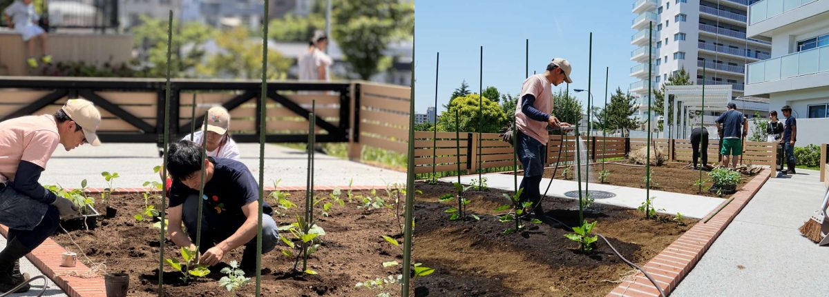 ACTION - SWITCH STAND AKABANE[スイッチスタンド 赤羽]